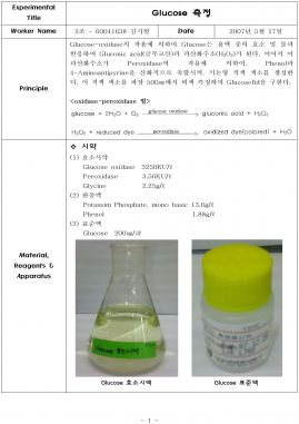 Glucose 측정 레포트 자료-1페이지