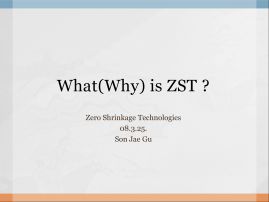 What(Why) is ZST? 레포트 자료-1페이지