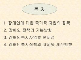 장애인에 대한 국가적 차원의 정책-1페이지