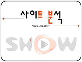 사이트분석(show)-1페이지