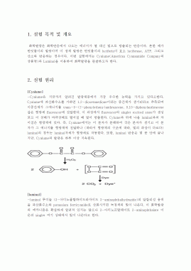 화학발광 luminol 실험보고서-1페이지