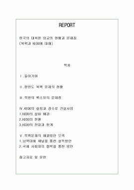 한국의 대북한 외교의 현황과 문제점-1페이지