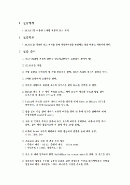 ZCAST를 이용한 T자형 제품의 응고 해석-1페이지