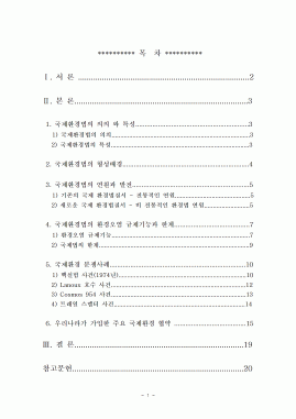 국제환경법 레포트 자료-1페이지