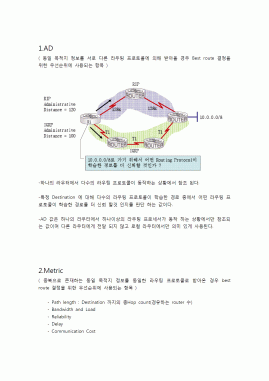 라우팅 메트릭에 대해-1페이지