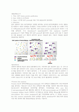  GST-fusion protein purification-1페이지