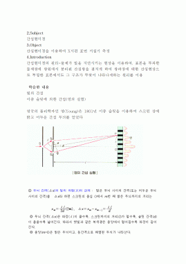 간섭현미경 레포트 자료-1페이지