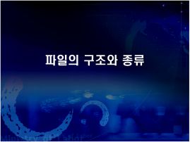 파일의 구조와 종류-1페이지