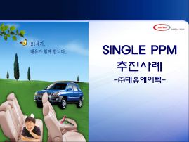 싱글 PPM 추진 사례 (대유에이텍)-1페이지