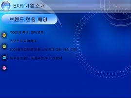 EXR의 정보시스템과 CRM 시장환경 -1페이지