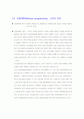 LP모형 분석 레포트 자료-1페이지