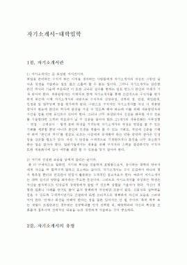 대학입학 자기소개서-대학입학 자기소개서 유형, 양식, 작성 시 유의 사항-1페이지