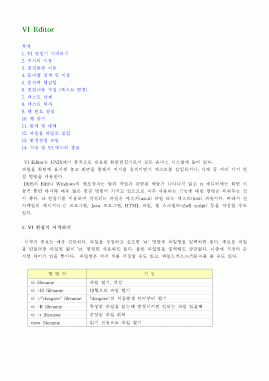 VI 에디터 레포트 자료-1페이지
