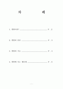 갯벌이란 레포트 자료-1페이지