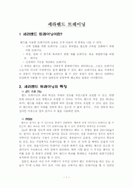 Thera band 트레이닝과 관련된 레포트 자료 입니다.-1페이지