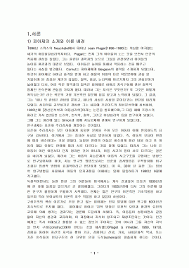 피아제 이론의 개념과 그 내용-1페이지