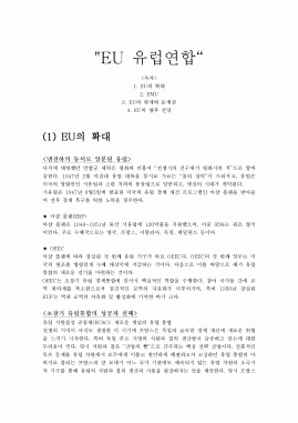 EU유럽연합 레포트 자료-1페이지