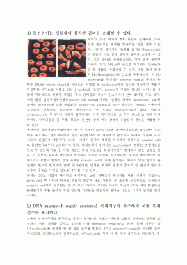 유전자 손상과 회복-1페이지