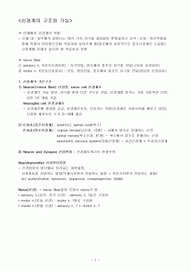 성인 <신경계>-1페이지