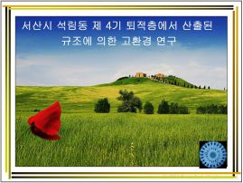 서산시 석림동 제 4기 퇴적층에서 산출된 규조에 의한 고환경 연구-1페이지