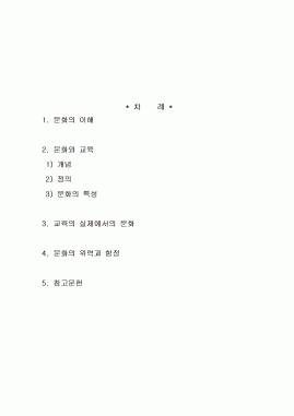 교육의 실제에서 문화가 가지고 있는 매력과 함정에 대해 논하시오-1페이지