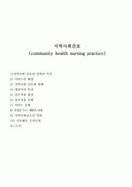 지역사회간호(community health nursing practice)-1페이지