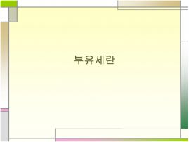 부유세란 레포트 자료-1페이지