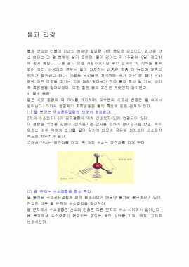 인체에서의 물의 역할-1페이지