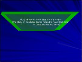 소, 말, 돼지 조모색(roan) 관련 후보유전자 -1페이지