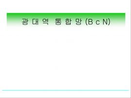 광대역 통합망 (BCN) 기술-1페이지