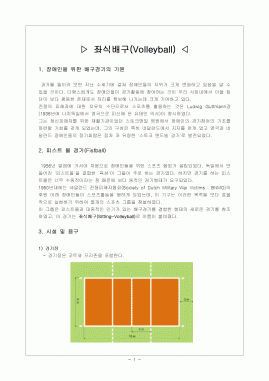 좌식배구 레포트 자료-1페이지