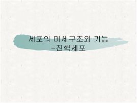 세포의 미세구조와 기능-진핵세포-1페이지