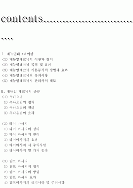 메뉴얼 테크닉의 종류-1페이지