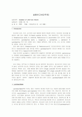 [식품미생물학실험]김치로부터 젖산균의 분리(isolation of LAB from kimchi)-1페이지