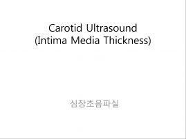 경동맥 내중막 검사-1페이지