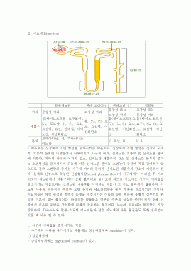 이뇨제(Diuretics)에 대한 정리-1페이지
