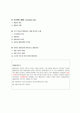 고환율정책과 환율폭등-1페이지