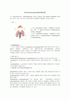 갈색세포종 레포트 자료-1페이지