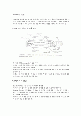 Localux에 대해 레포트 자료-1페이지