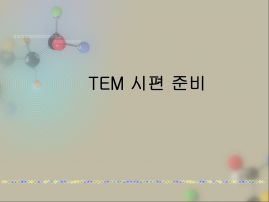 tem에 대해 레포트 자료-1페이지