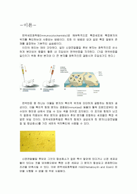   ICC의 이론과 실습-1페이지