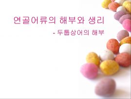 연골어류(두툽상어) 해부 실습 발표 자료-1페이지