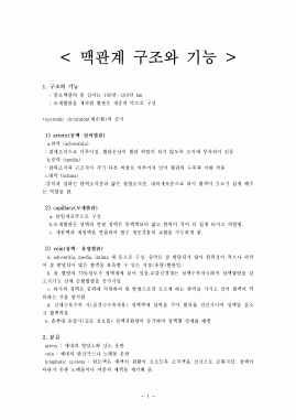[맥관계구조와기능] 맥관계 구조와 기능-1페이지
