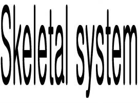 Skeletal system 레포트 자료-1페이지