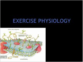 Exercise for Older Persons 운동생리학-1페이지