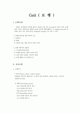 Gait ( 보 행 ) 레포트 자료-1페이지