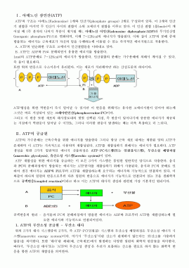 ATP생성과정 레포트 자료-1페이지