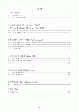 연료전지 PEMFC-1페이지