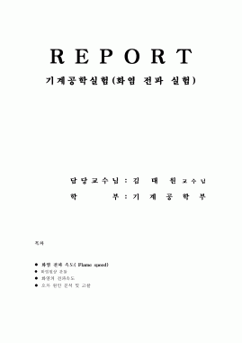 화염 전파 레포트 자료-1페이지