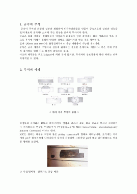 부식의 사례 레포트 자료-1페이지